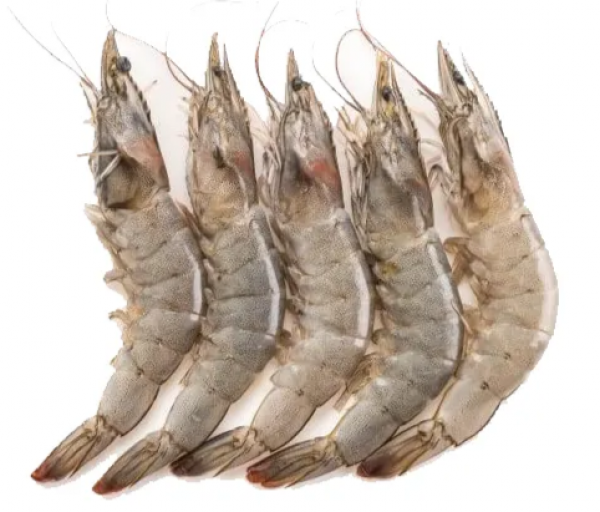 Fresh Prawn