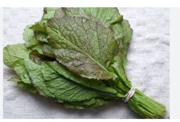 Mustard Leaf – rai