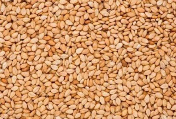 Roasted Sesame 250g